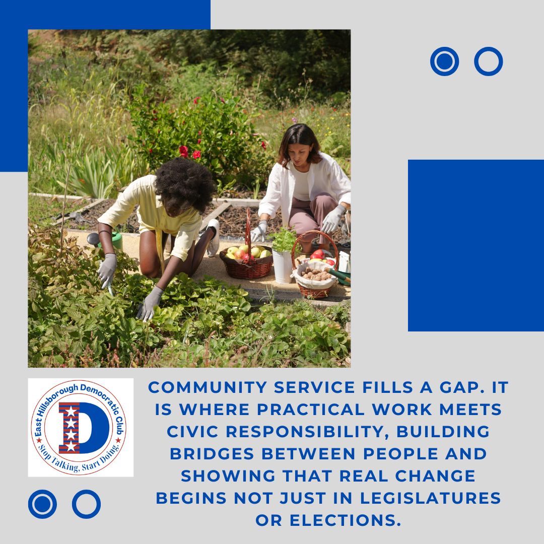 The Power of Community Service with the Democratic Headquarters Lithia ...